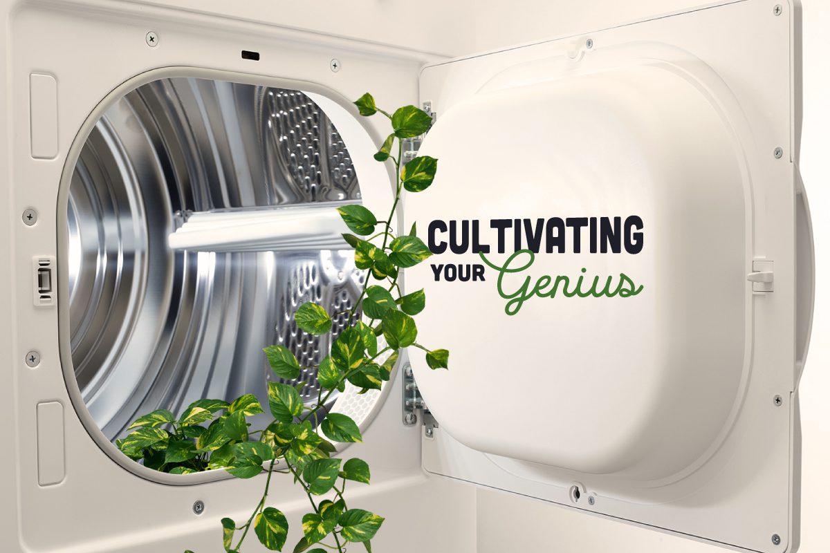 Cultivating Your Genius - Terradez Ministries