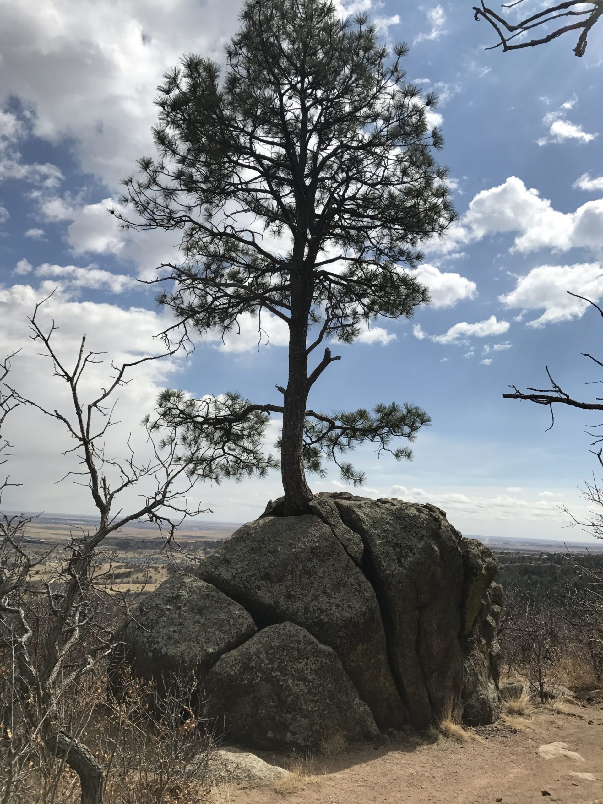 Rock-Splitting Faith and How it Grows - Terradez Ministries