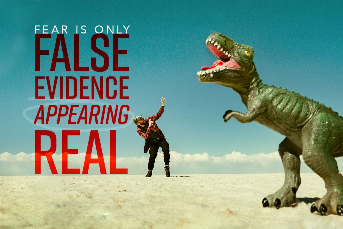 Fear: False Evidence Appearing Real - Terradez Ministries