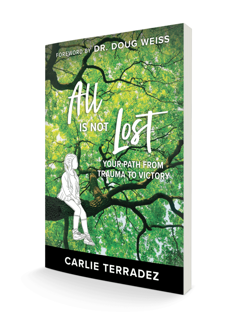 All Is Not Lost Book - Terradez Ministries
